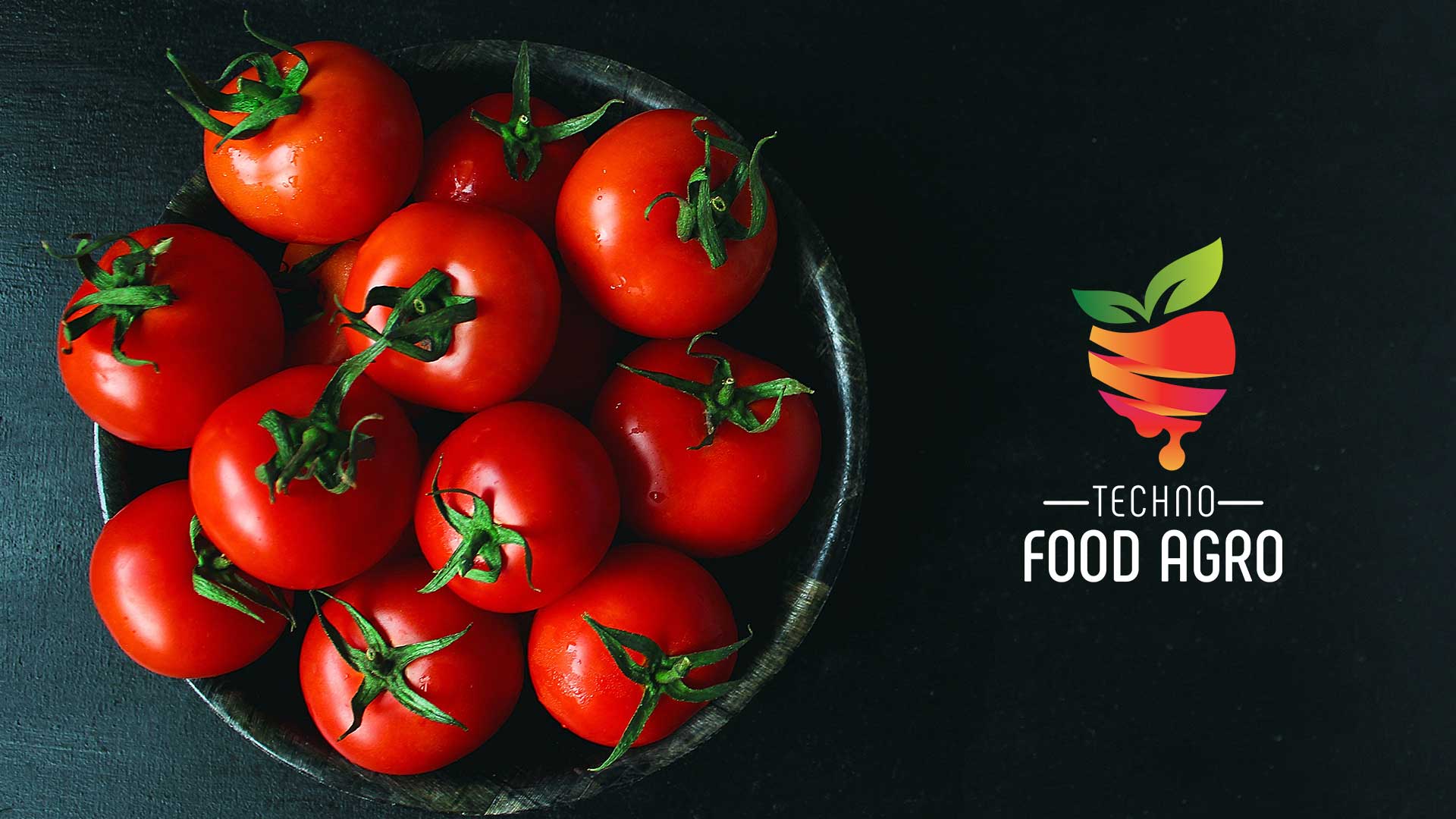 technofoodagro-tomate - Techno Food Agro